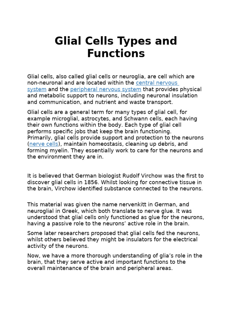 Glial Cells Types and Functions | PDF | Neuron | Axon