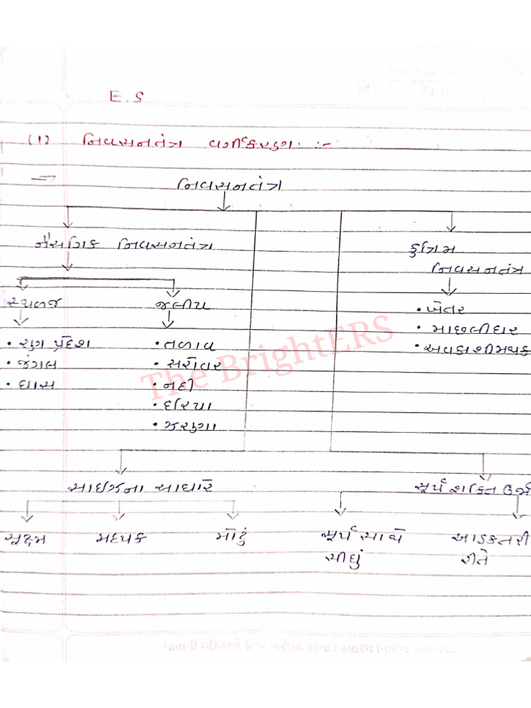 Es Imp Questions Ch-1 | PDF
