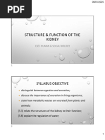 ? Excretion - Grade 11 Life Sciences | PDF