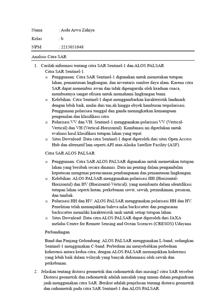 Analisis Citra SAR: Sentinel-1 vs ALOS PALSAR | PDF