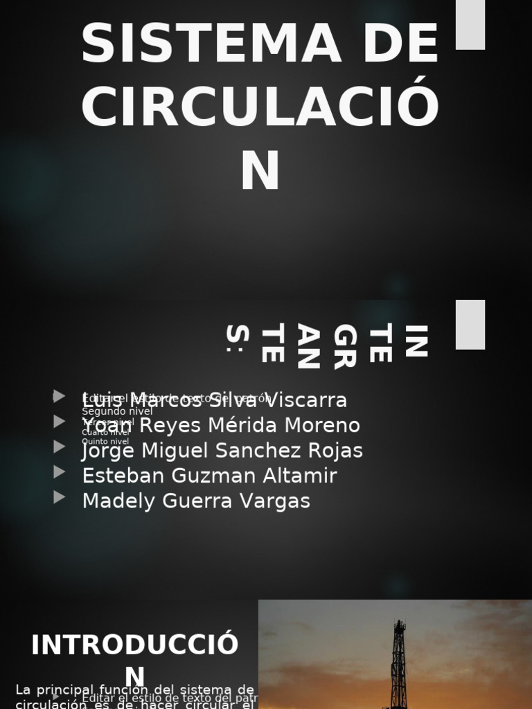 Perfo 1 Corregido Negro | PDF