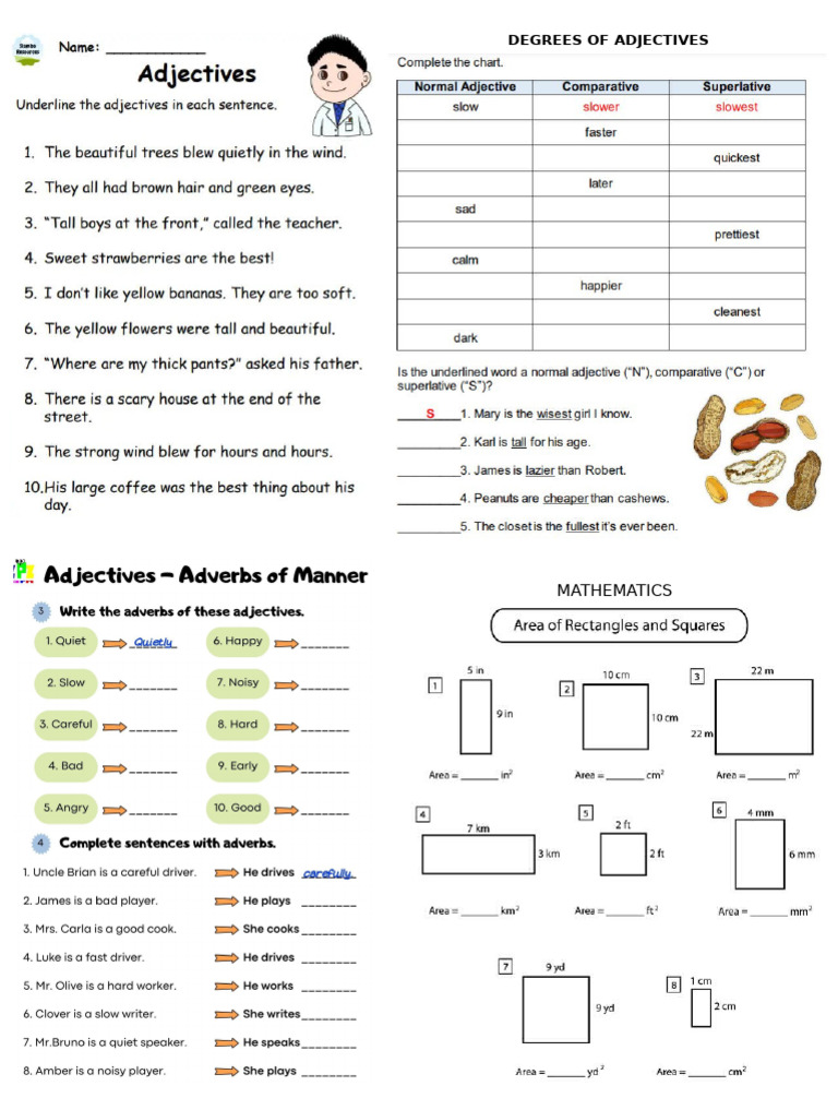 Degrees of Adjectives Worksheet | PDF