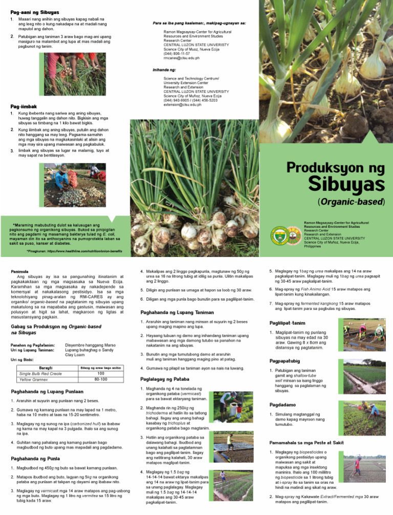 Produksyon NG Organikong Sibuyas (Tagalog) | PDF