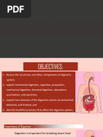 Grade 4 Science: Digestive System Overview | PDF | Digestion | Human Digestive System