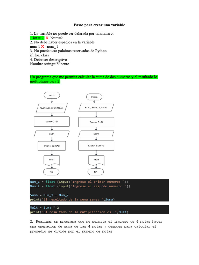 Pasos para Crear Una Variable | PDF