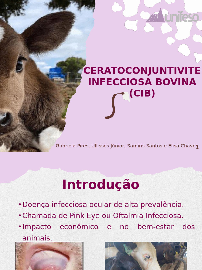 Ceratoconjuntivite Infecciosa Bovina: Causas e Tratamento | PDF ...