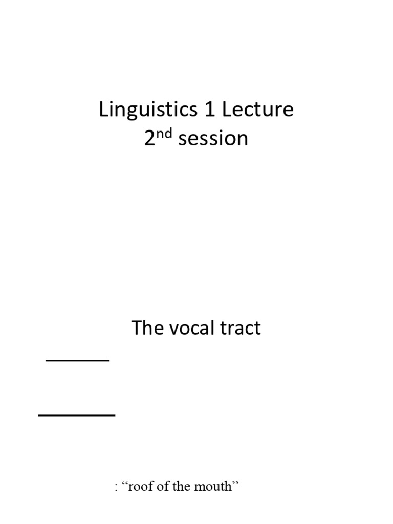 S2 Lecture - Vocal Tract - Voicing - Place of Articulation | PDF ...