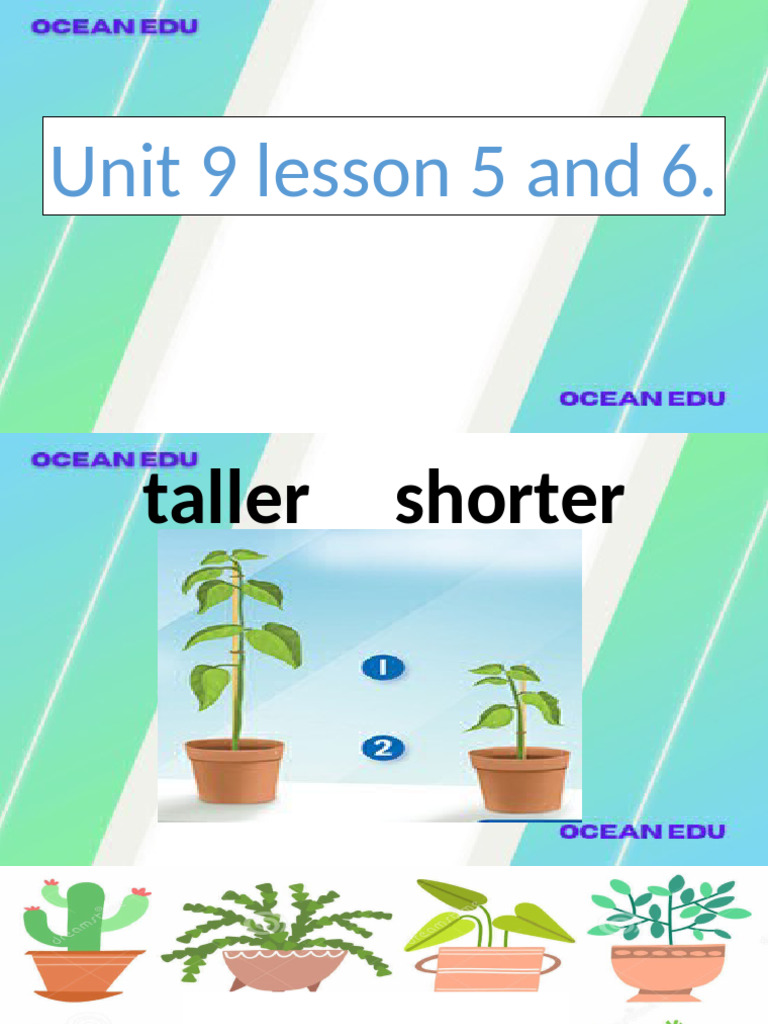 Unit 9 Lesson 5 and 6 | PDF