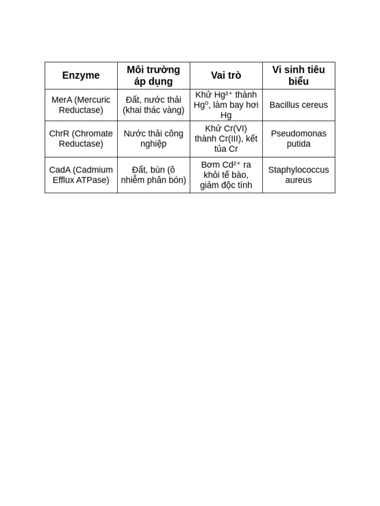 Enzyme | PDF