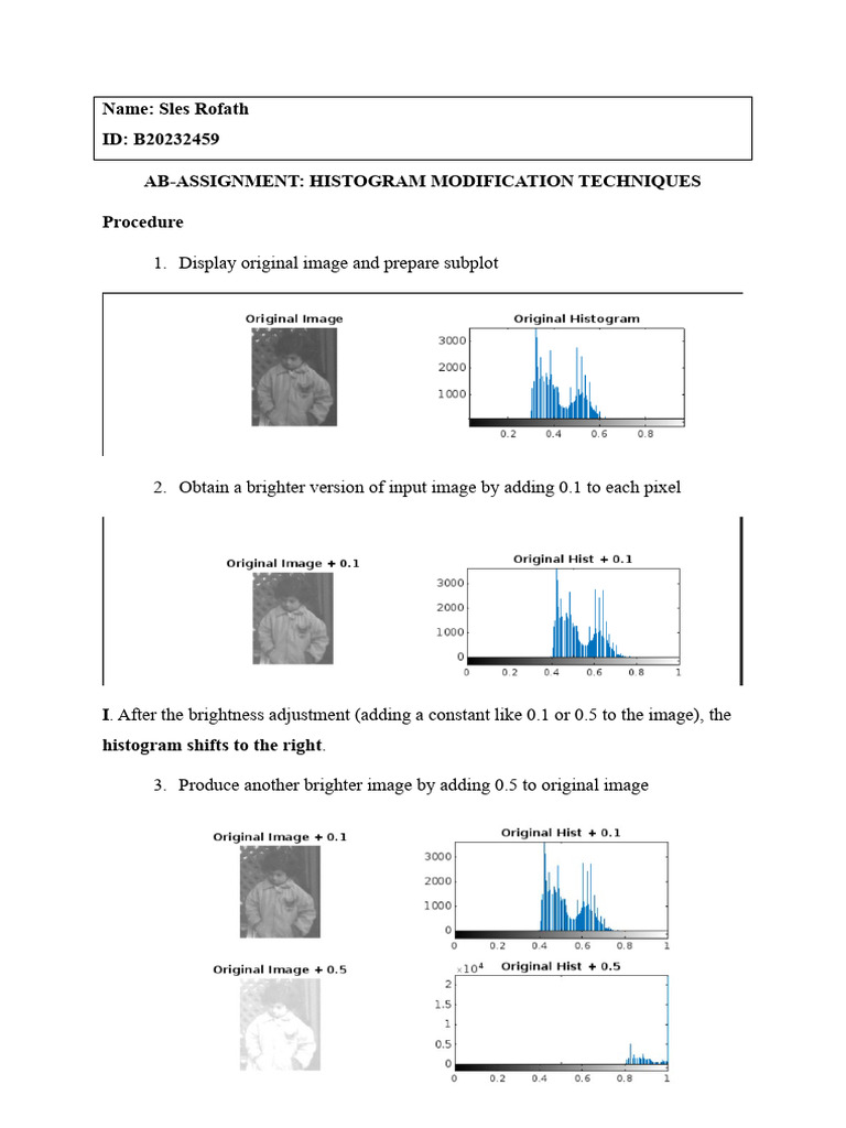 Histogram Modification Techniques | PDF | Computer Programming