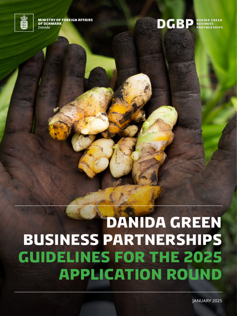 Danida Green Business Partnerships 2025 | PDF | Small And Medium Sized ...