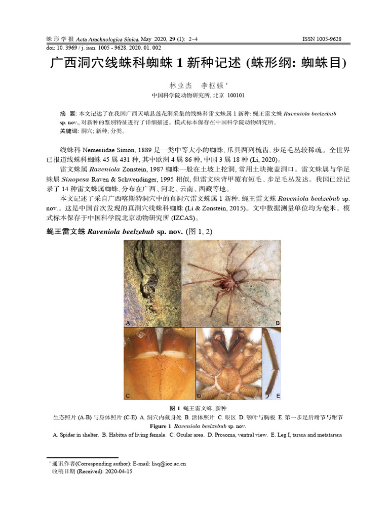 Lin, Y. J. & Li, S. Q. (2020b) | PDF
