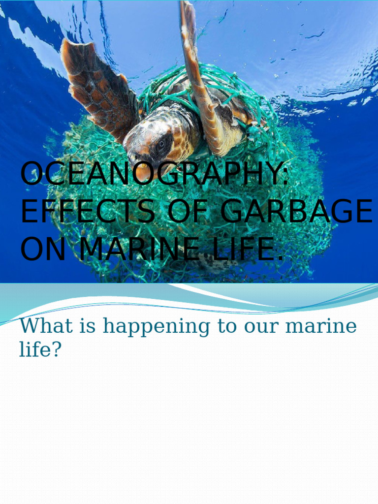 Marinelife | PDF