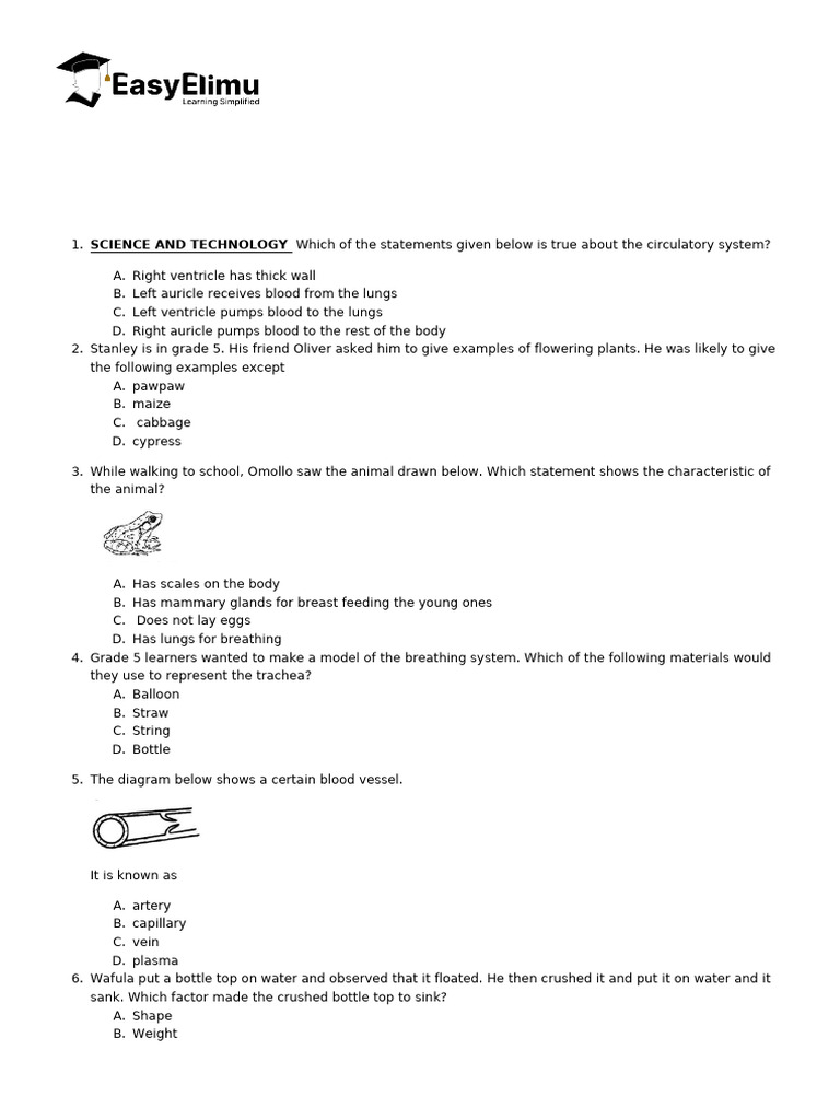 Integrated Science - CBC Grade 6 Mid Term 2 Exams 2025 Set 1-4320 | PDF | Circulatory System | Blood