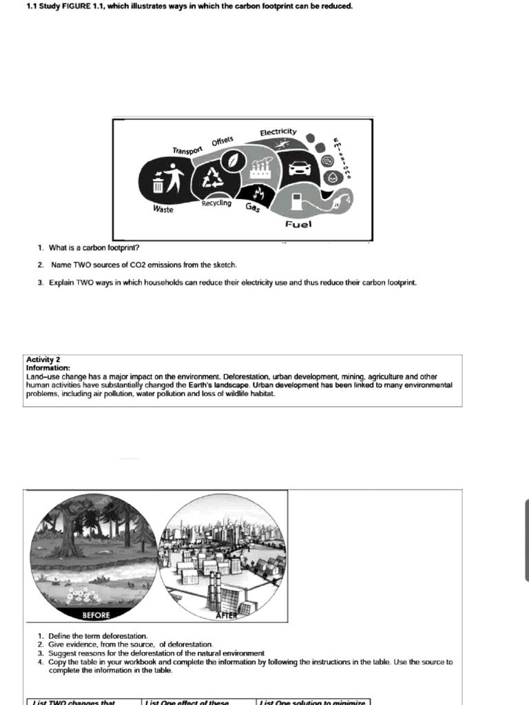 Lesson 3 Activities | PDF