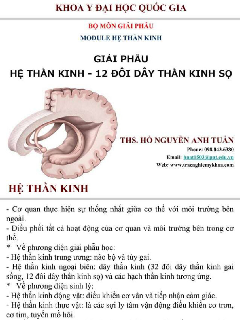 5ab3fcf0-20cf-4fa1-b666-b8e32c88037d | PDF