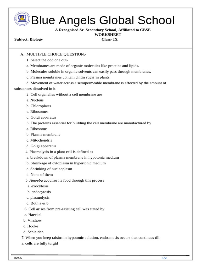 Mitochondria and Cell Theory Worksheet | PDF | Cell (Biology) | Cell ...