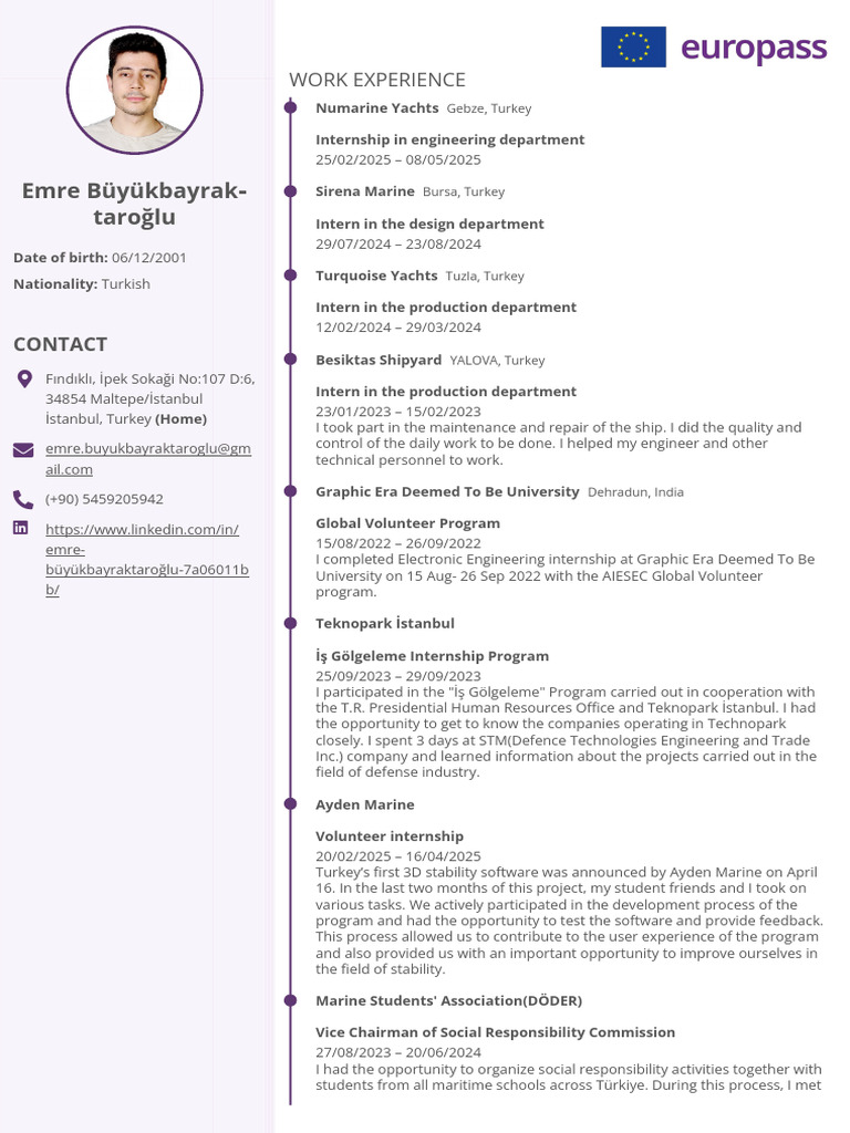 Emre Büyükbayraktaroğlu CV | PDF