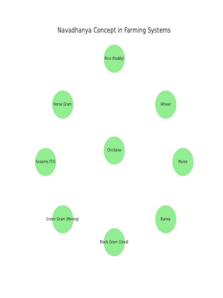 Navadhanya Concept Diagram | PDF