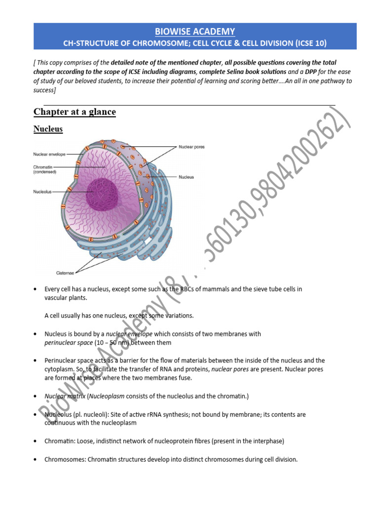Ch-Structure of Chromosome Cell Cycle and Cell Division ICSE Class 10 ...