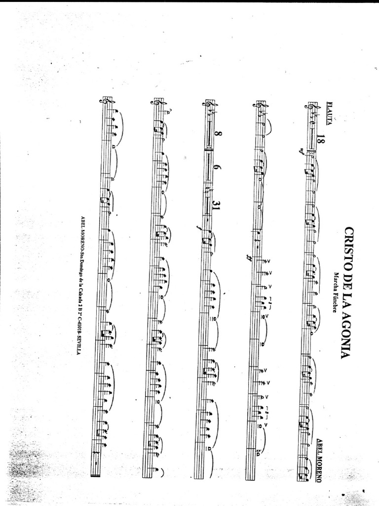 Flute | PDF