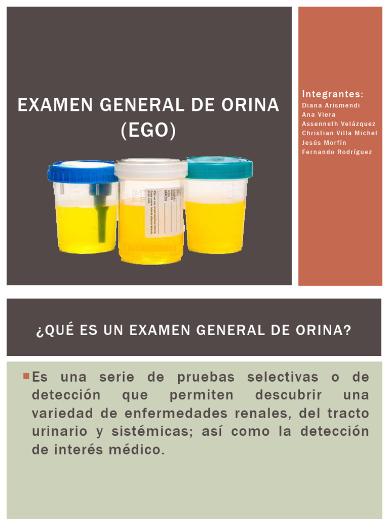 Guía Completa del Examen de Orina | PDF | Orina