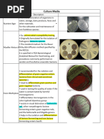 Atcc Strains | PDF | Beta Lactamase | Staphylococcus
