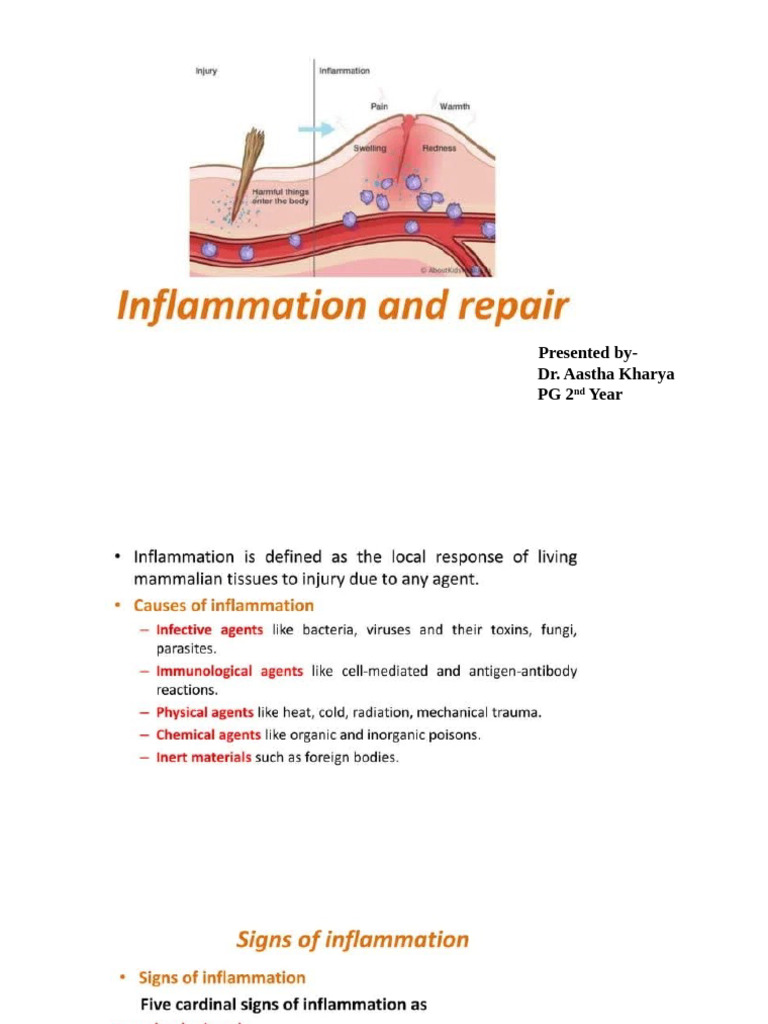 Inflammation | PDF