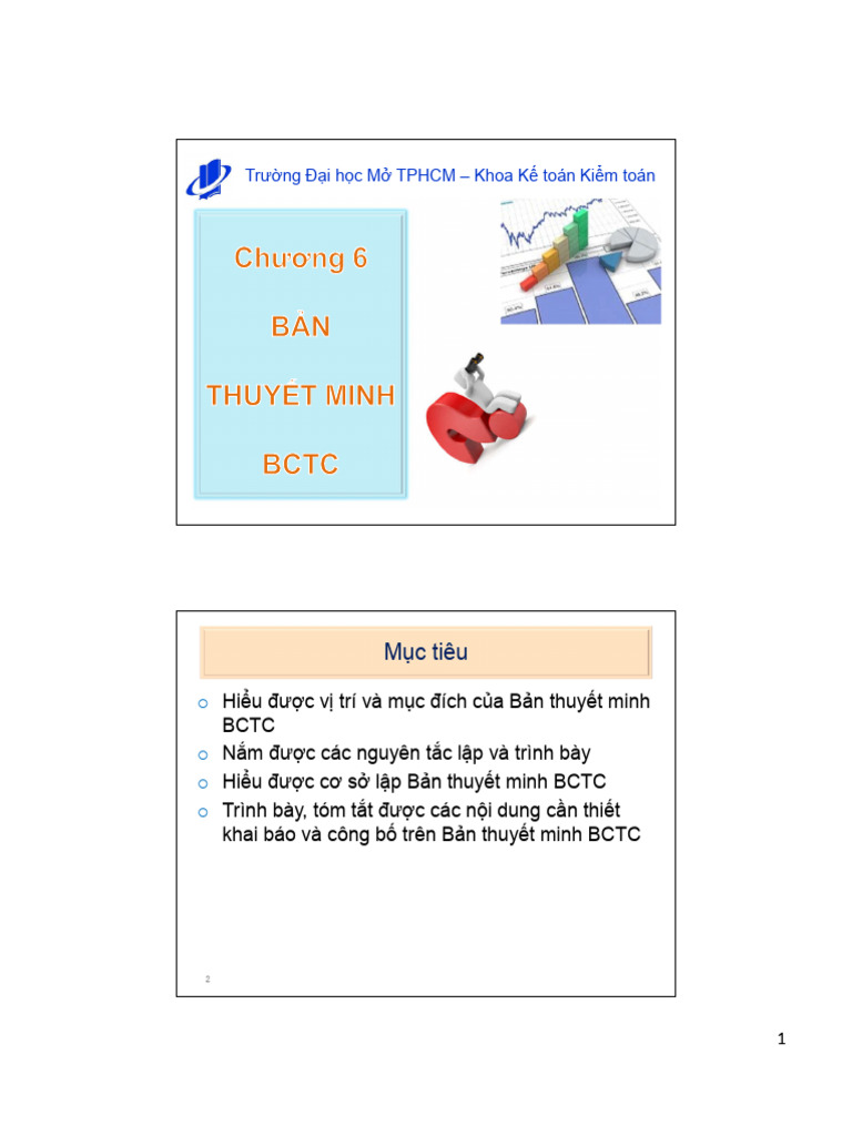 C6 - Ban Thuyet Minh BCTC | PDF