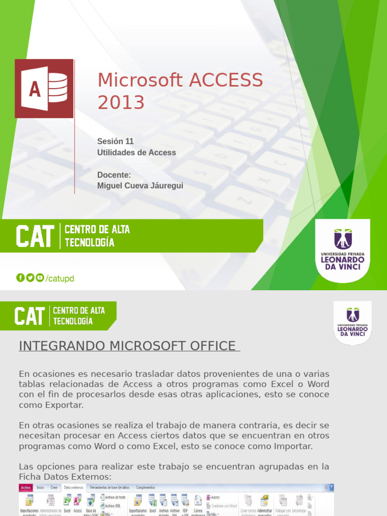 Sesion 11 - Utilidades de Access | PDF | Microsoft Excel | Bases de datos