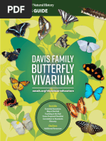 Classroom Butterfly Camouflage Activity | PDF | Camouflage | Mimicry