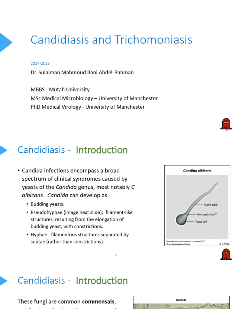Trichomoniasis, Candidiasis - Students | PDF | Candidiasis | Candida ...