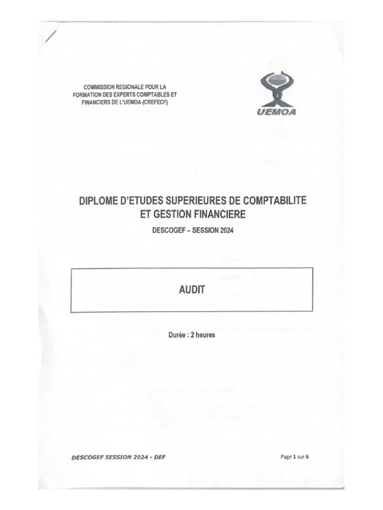 Audit 2024 | PDF