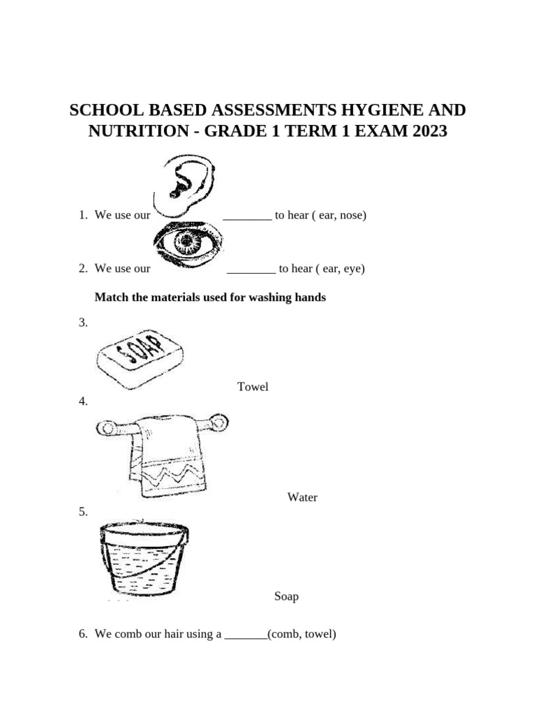 School Based Assessments Hygiene and Nutritions | PDF