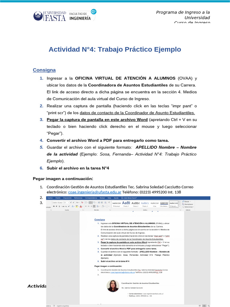 Actividad N°4 - Trabajo Practico Ejemplo | PDF