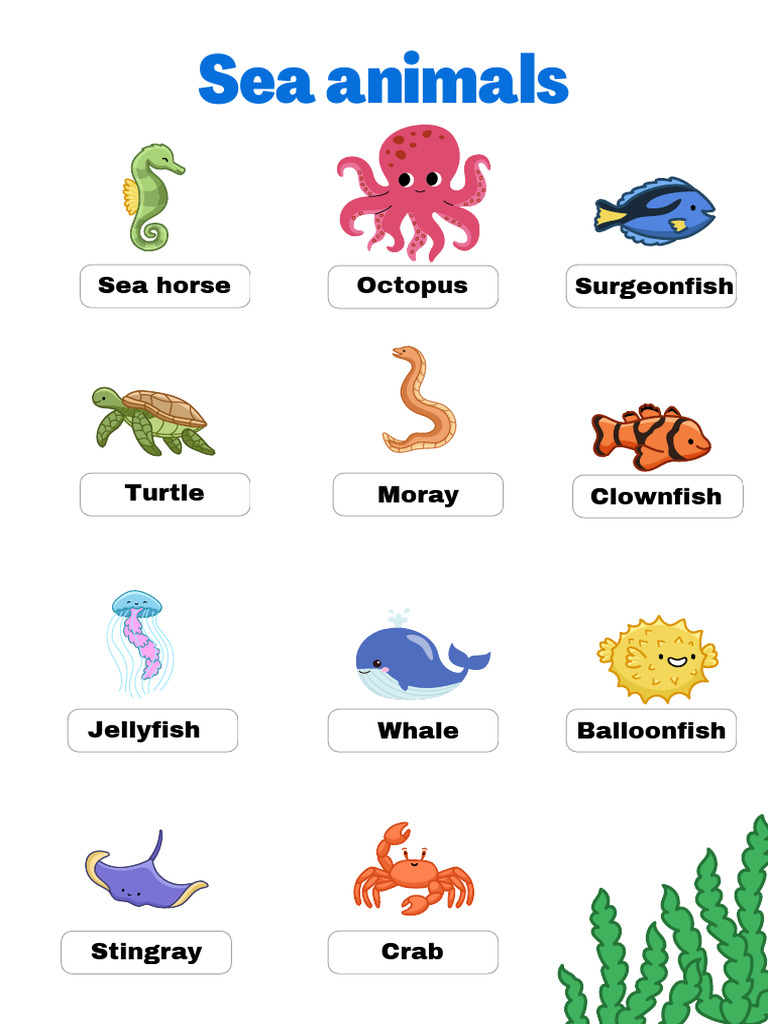 Sea Animals | PDF