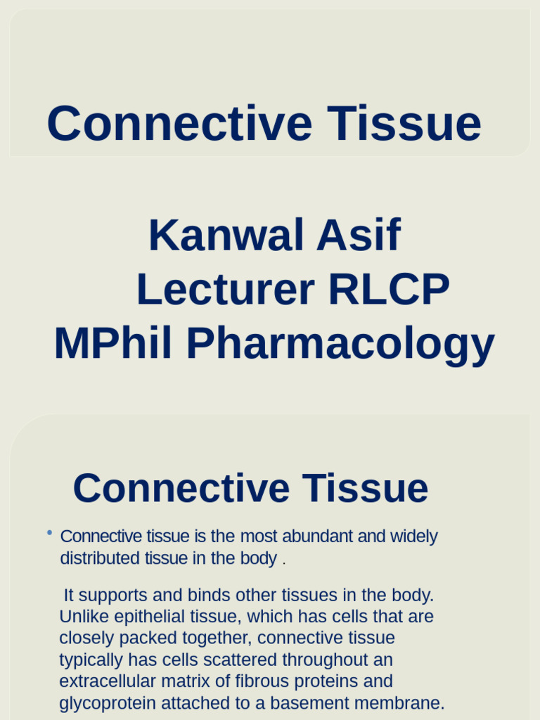 Connective Tissue Anatomy - Complete | PDF | Connective Tissue | Bone