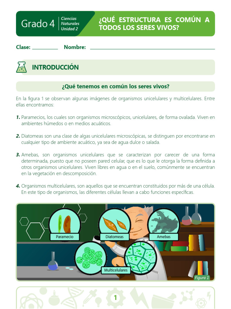 Celula Grupo 3 | PDF | Organismos | Biología Celular)