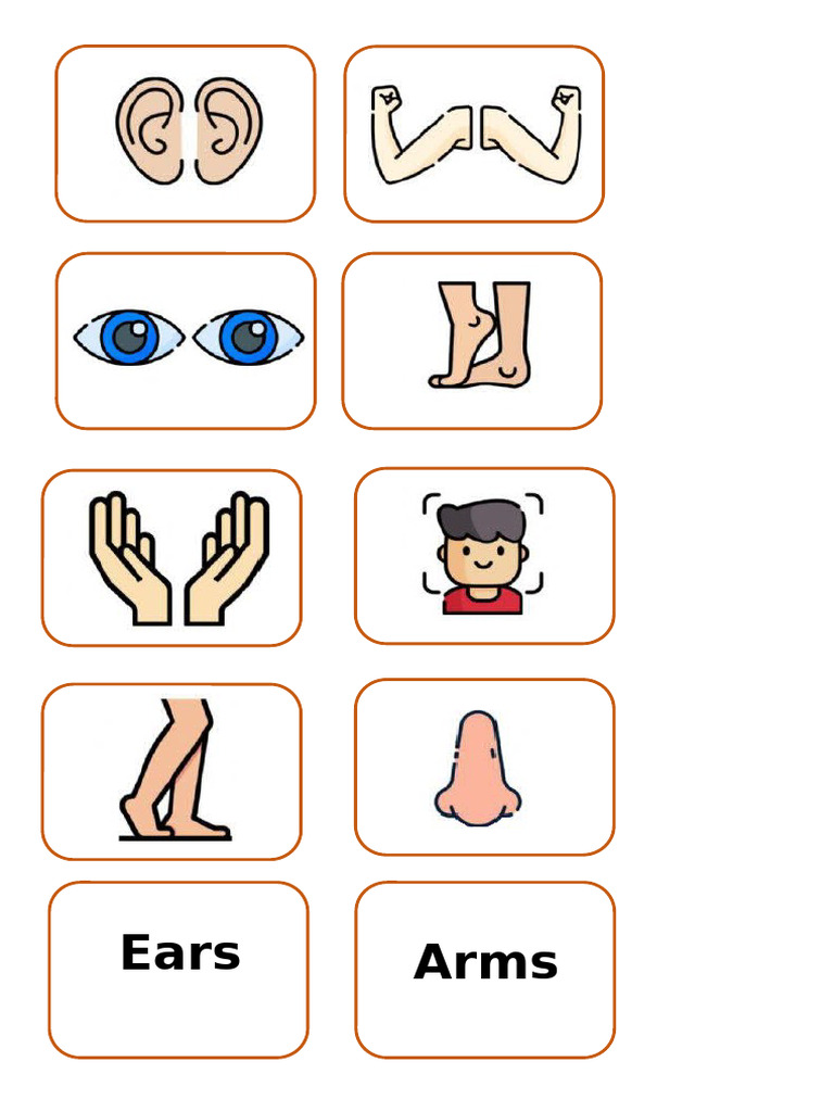 Flash Cards Open Up 1 and 2 Unit 3 | PDF