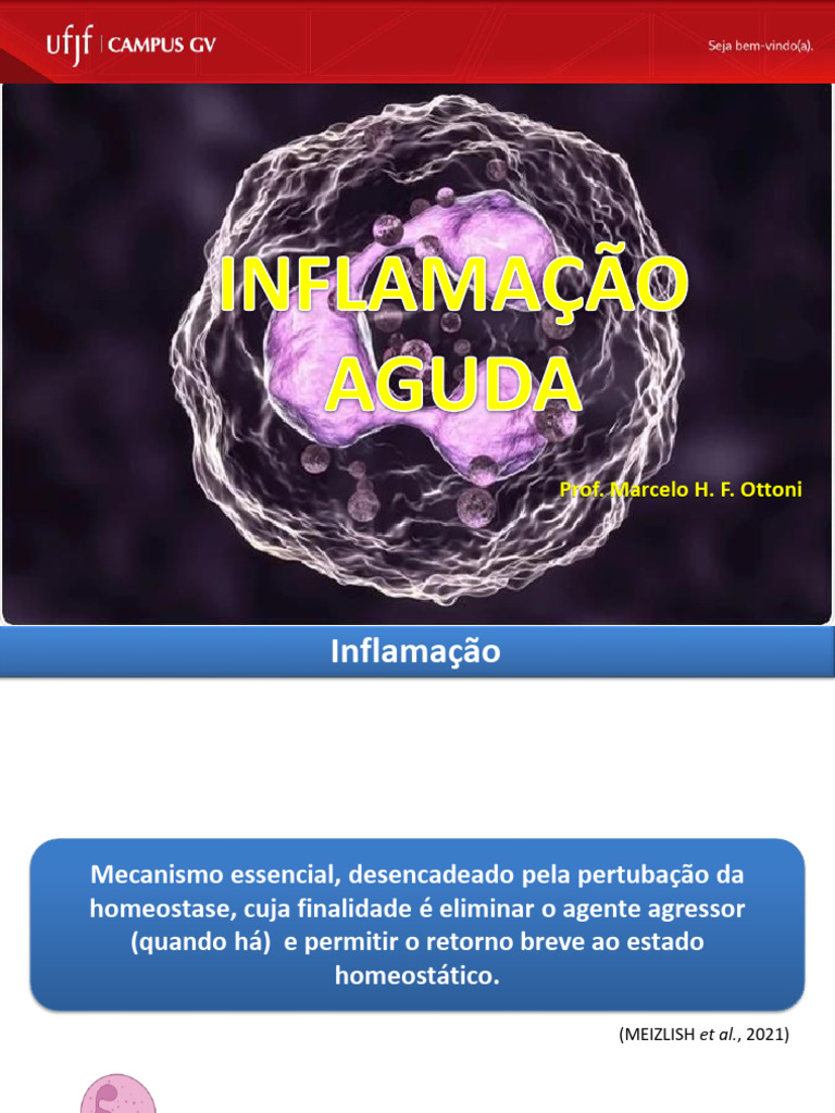 Entendendo a Inflamação Aguda: Mecanismos e Efeitos | PDF | Inflamação ...