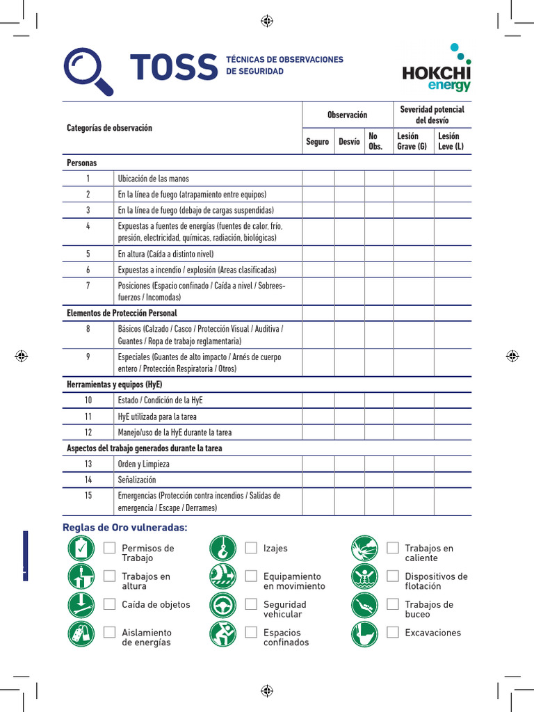 Hok Saf PG 003.01 Tarjeta Toss | PDF