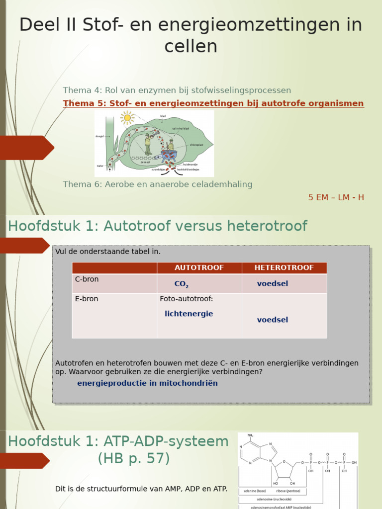 5EM LM PPT4 Fotosynthese | PDF