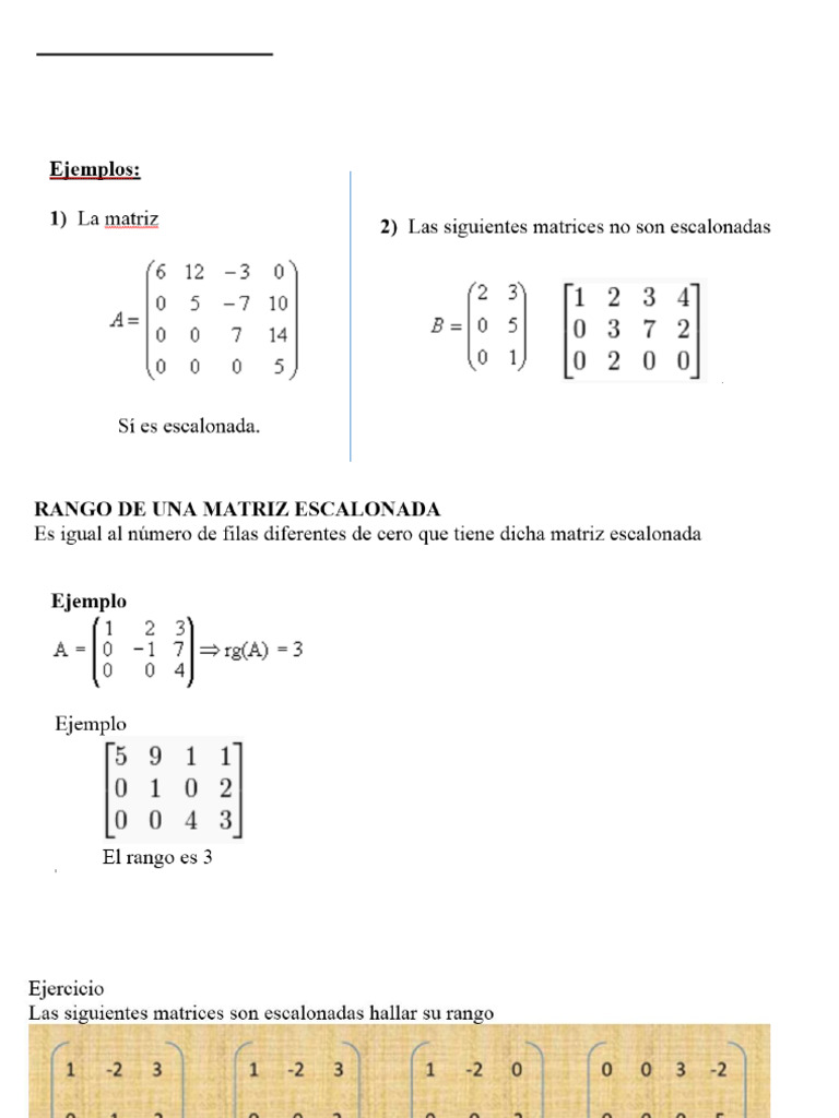 Definición de Matriz Escalonada | PDF