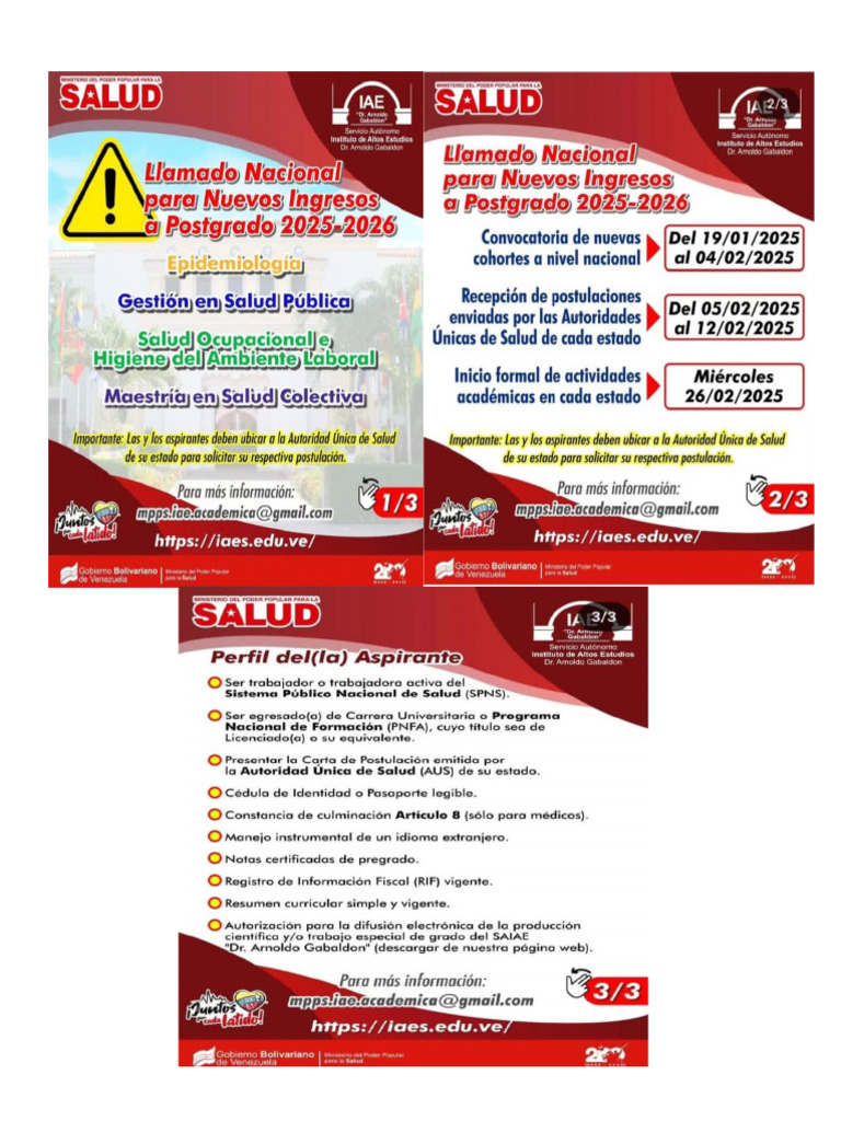 Llamado de Postgrado | PDF