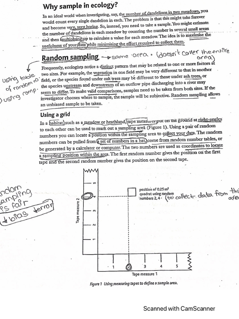 Ecology Unit 6 | PDF