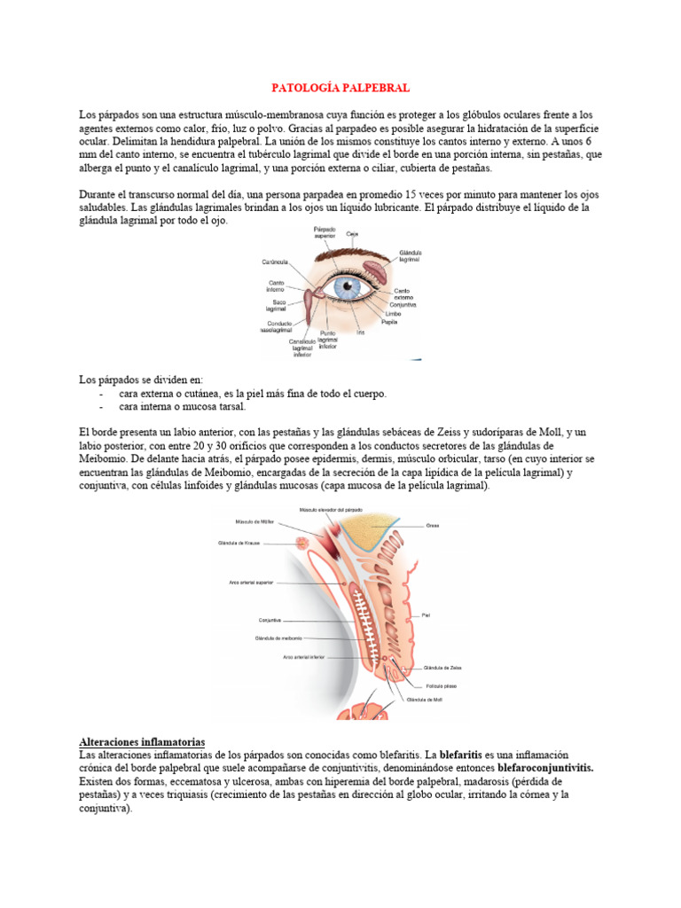 Doc Parpados y Conjuntiva | PDF | Neoplasias | Especialidades Medicas