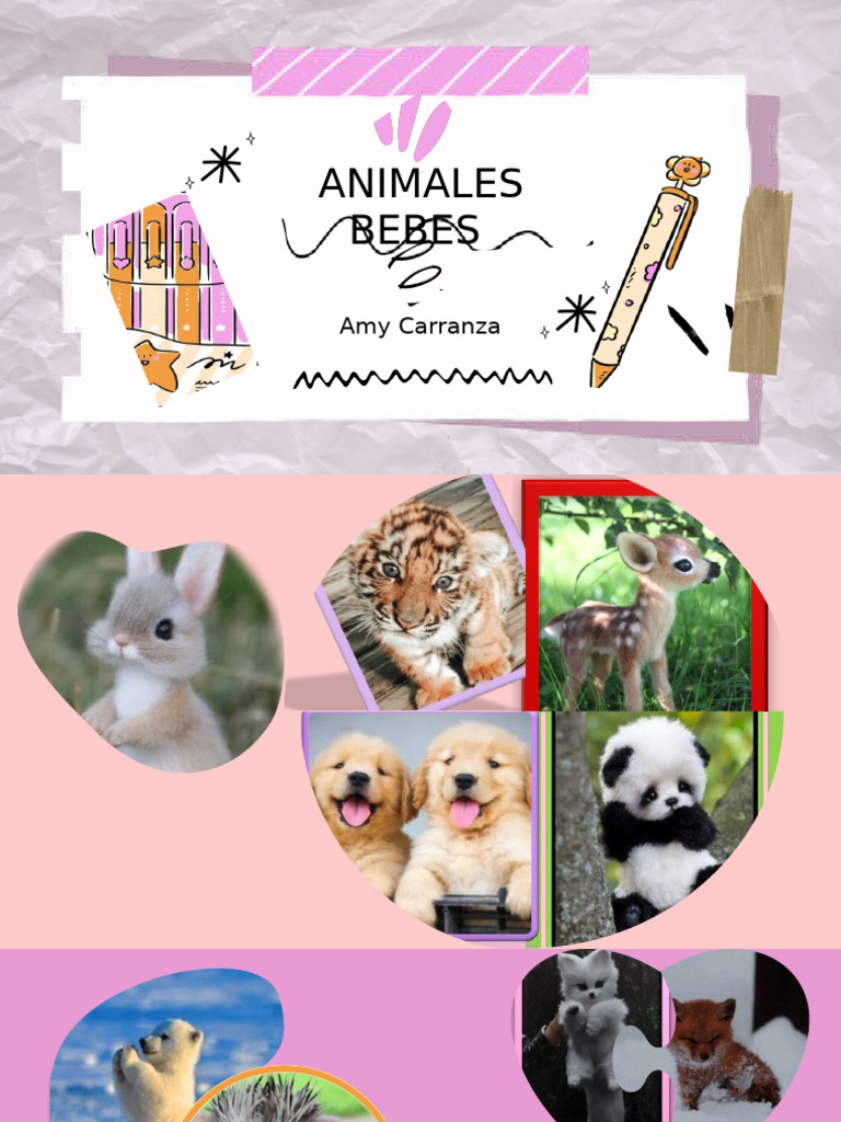 Animales | PDF