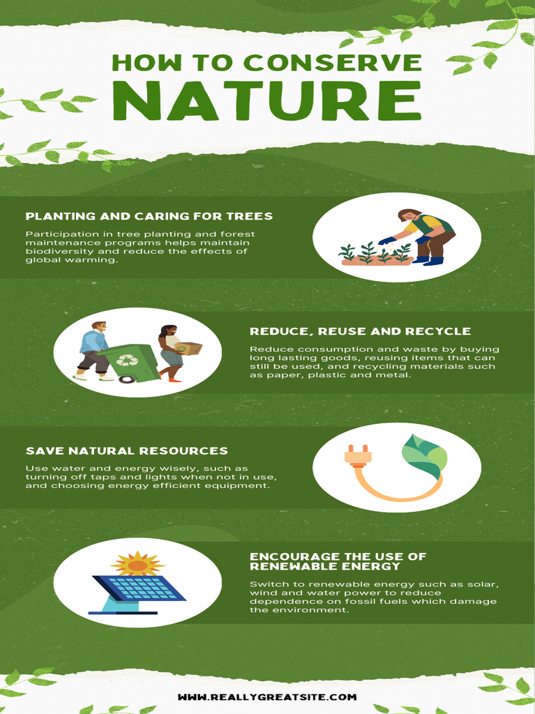 Green Illustrative How To Conserve Nature Infographic - 20250618 ...