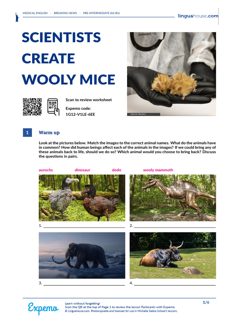 Scientists Create Wooly Mice: Lesson Plan | PDF | Mouse