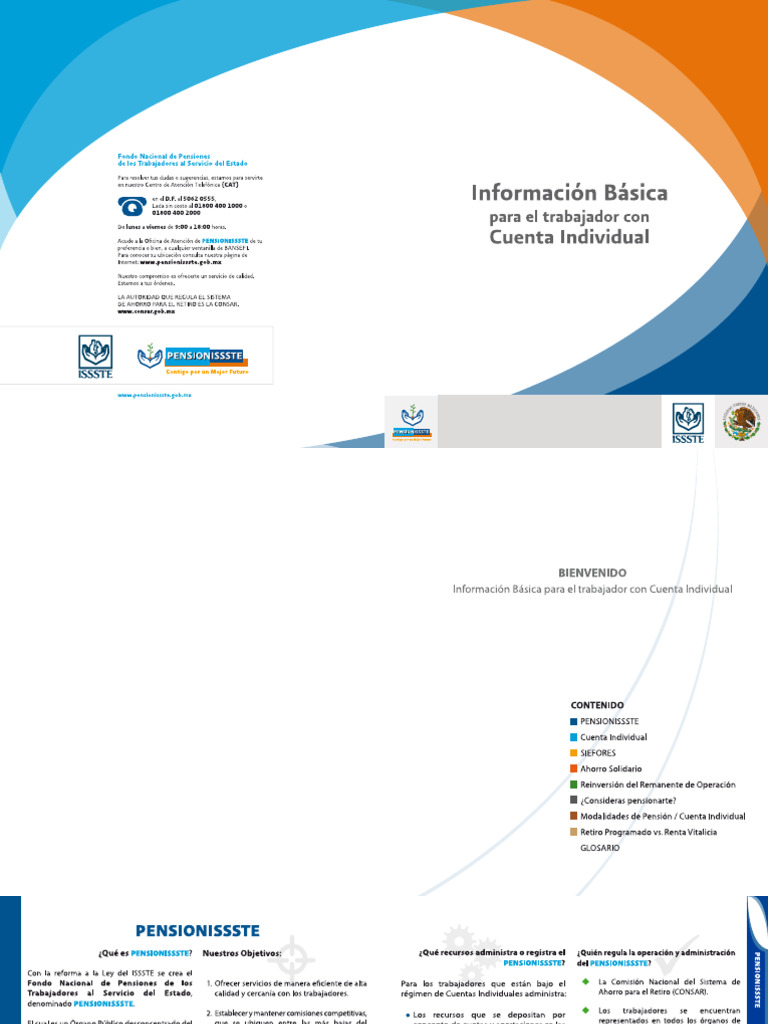 Compilado CUENTAS INDIVIDUALES | PDF